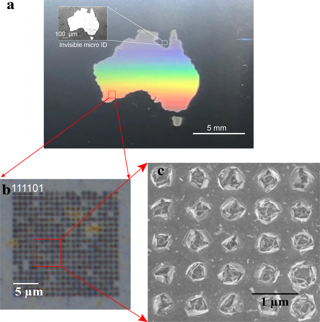 Highly Encrypted Nanoprinted Colorful Digital ID Tags - Innofocus ...